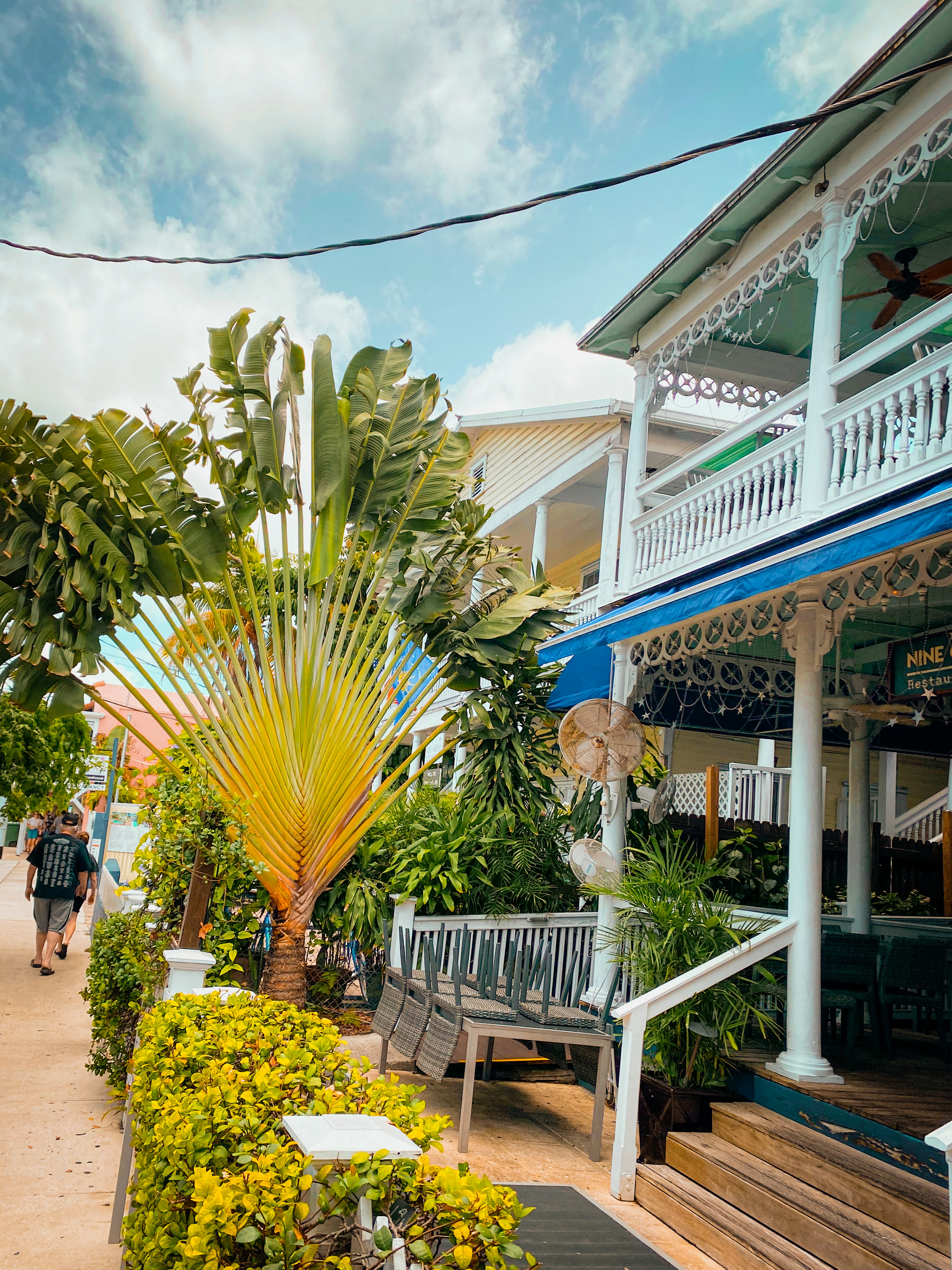 Top 5 thing to do in Key West, Florida – The Vagabun